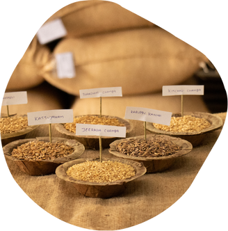 Spirit of the Earth – Organic Heritage Rice – sotestore
