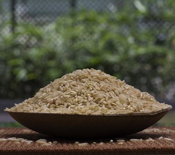 Buy Katarni Raw Rice Online - Premium Traditional Rice – sotestore